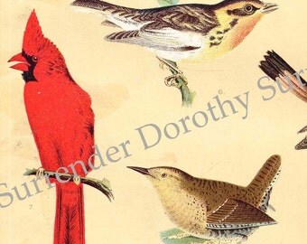 Wild Animals In Deadly Combat Beastial Antique by SurrenderDorothy