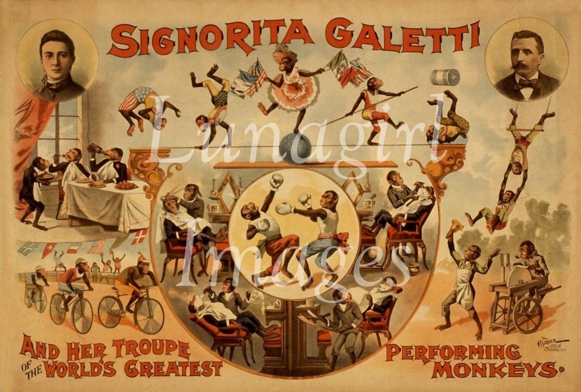 400 vintage images MAGICIANS ACROBATS MUSICIANS Victorian