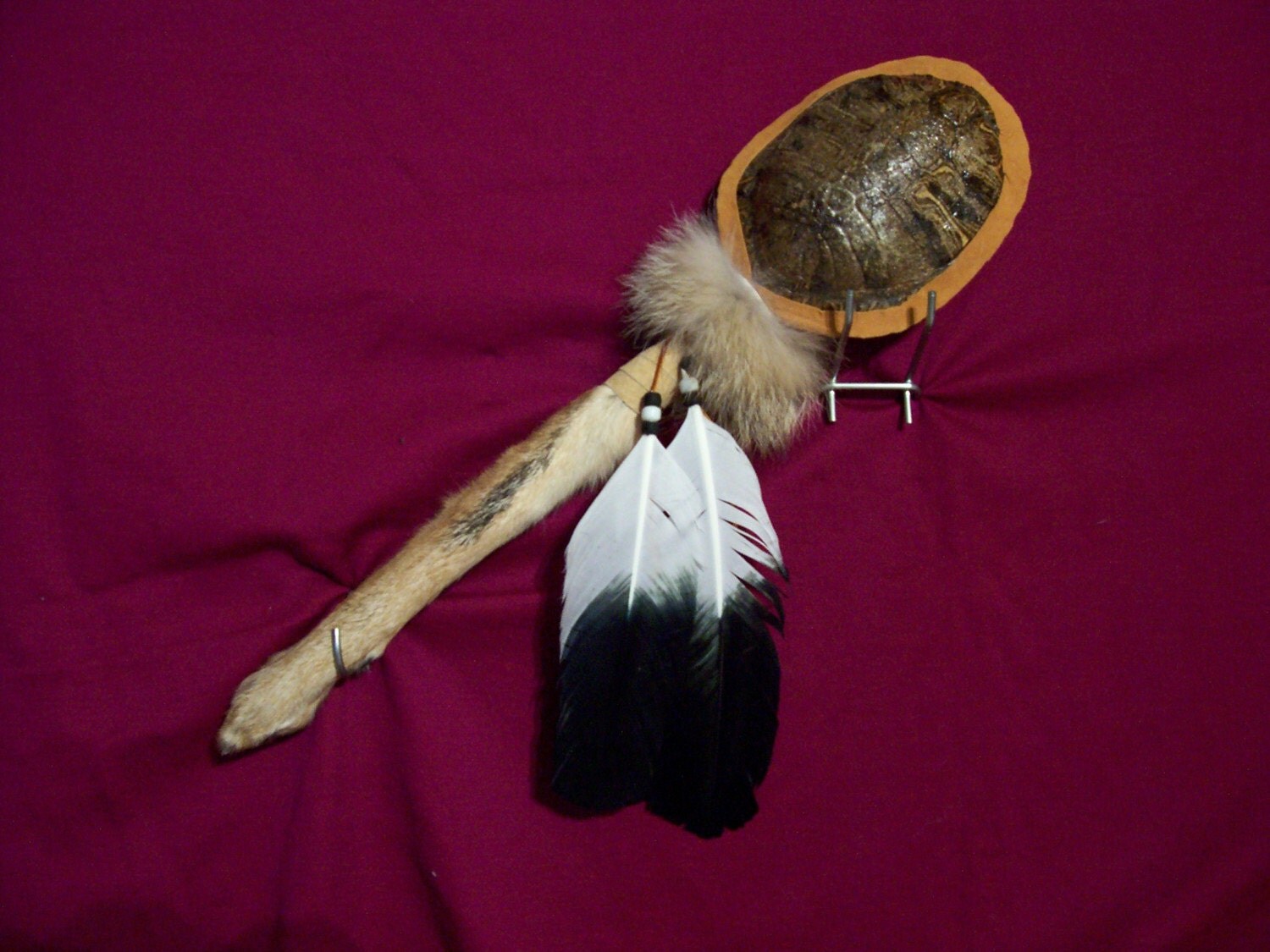 Turtle Shell Rattle 0096