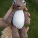 Chipmunk Knitting Pattern by fuzzymitten on Etsy