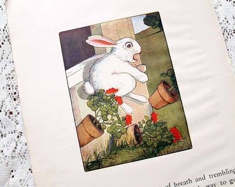 CLEARANCE Antique Illustration, Peter Rabbit, Nursery Tales, Childrens ...