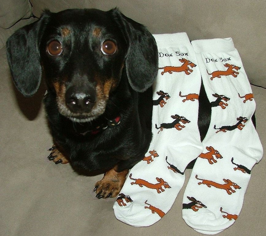 Mens Dachshund Dress Socks at Patricia Logan blog