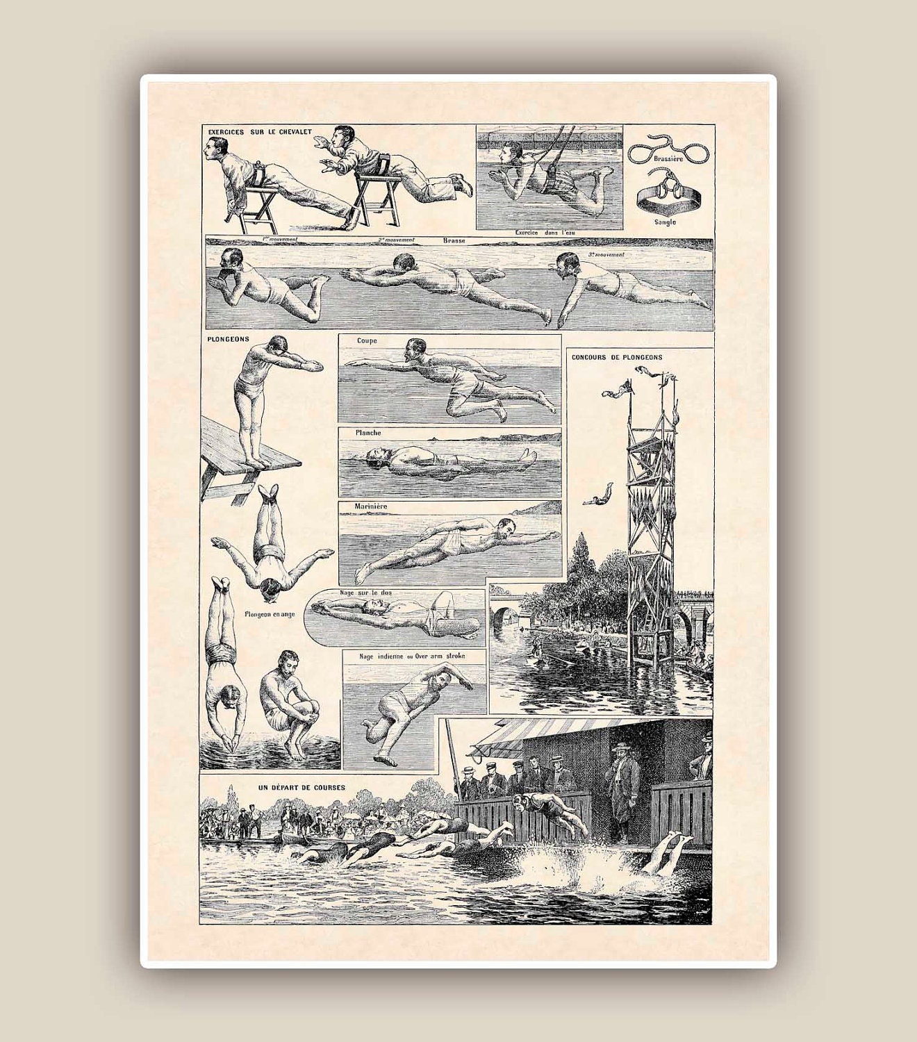Swimming art Gift for swimmersRetro swimming Print