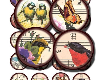 Popular items for music bird on Etsy