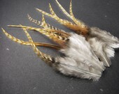 Quality Feather Supplies and Artisan by BellaRegaloFEATHERS