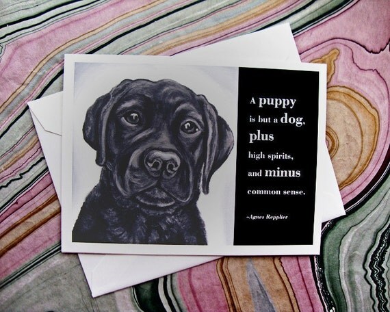 Black Lab Quotes. QuotesGram