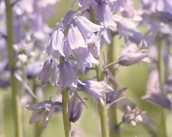 Green wind chime | Etsy