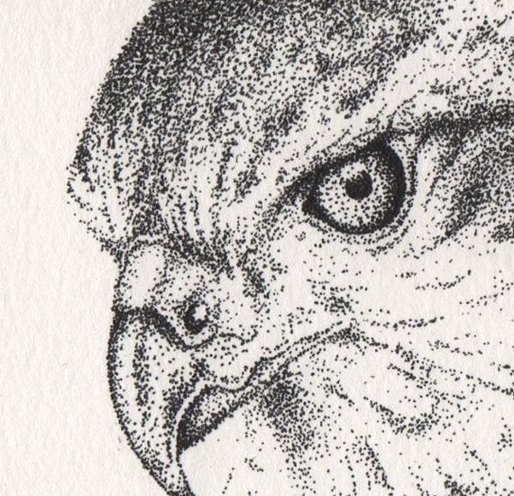 Hawk ACEO Ink Pointillism