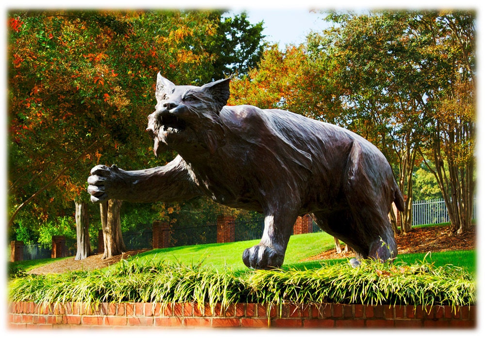 Davidson College Wildcat Statue North Carolina Photography