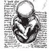 Human Fetus Notebook Sketch Leonardo Da By Asspocketproductions