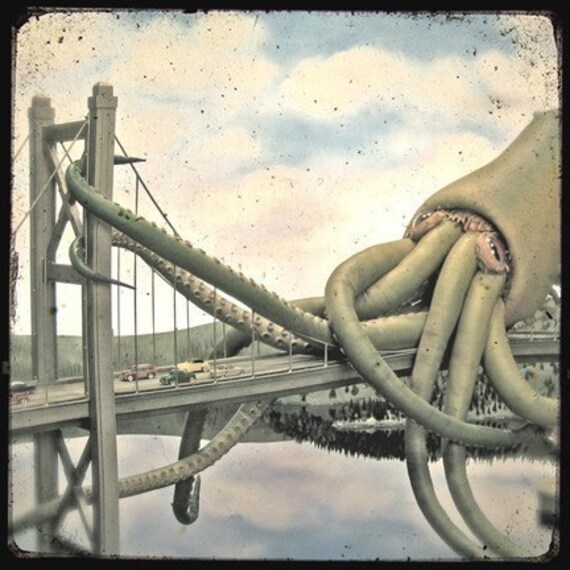 Colossal Squid Attack Humans