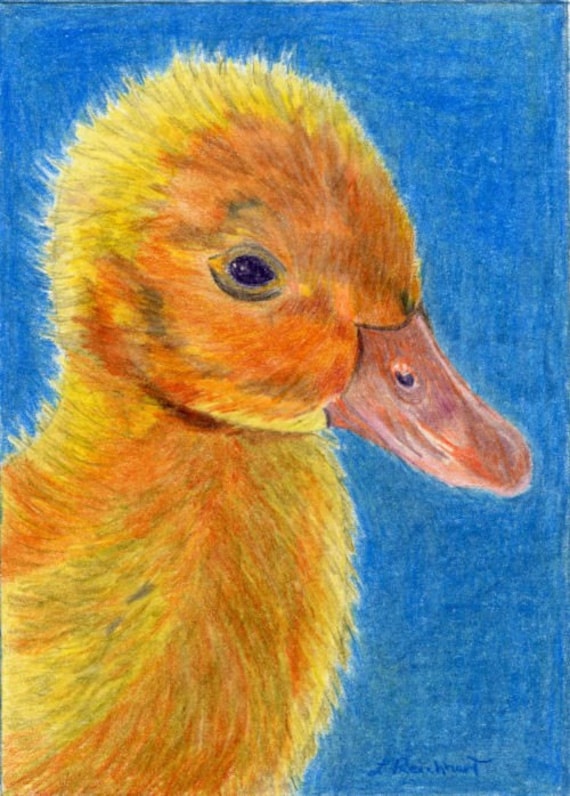 Yellow Duck Colored Pencil painting reproduction 5 x 7 Cute
