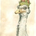 Ostrich King an original hand painted queen