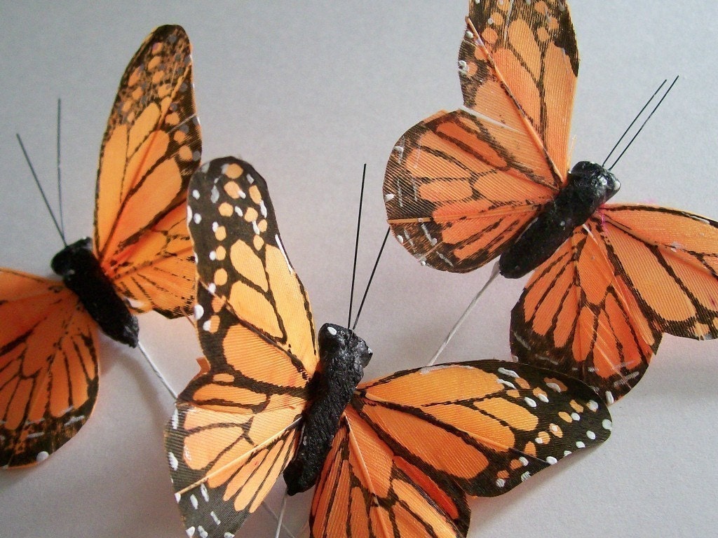 Monarch Butterfly Accent Pieces for Arts and Crafts 3