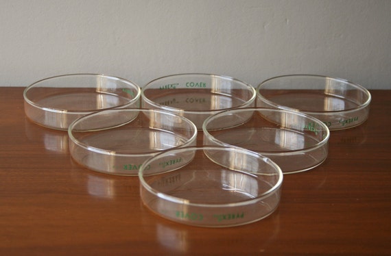 set of 6 Pyrex laboratory glassware petri dish