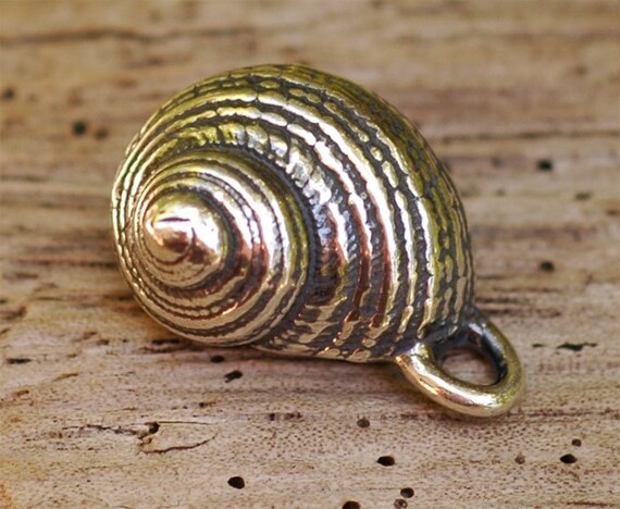 Artisan Fancy Snail Sea Shell in Sterling Silver by cathydailey