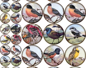 The Photo Cube by thephotocube on Etsy