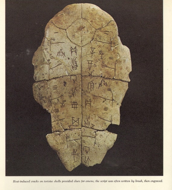 Vintage Chinese Art History Page of a Scripted Tortoise Shell