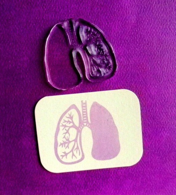 Items similar to anatomical lungs clear polymer rubber stamp on Etsy