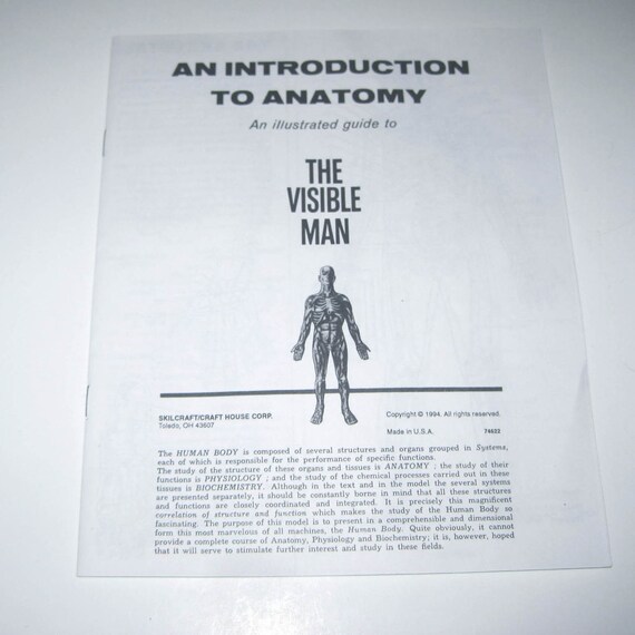 Vintage Style Visible Man Anatomy Model Kit in Original Box