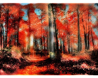 Popular items for fire art on Etsy