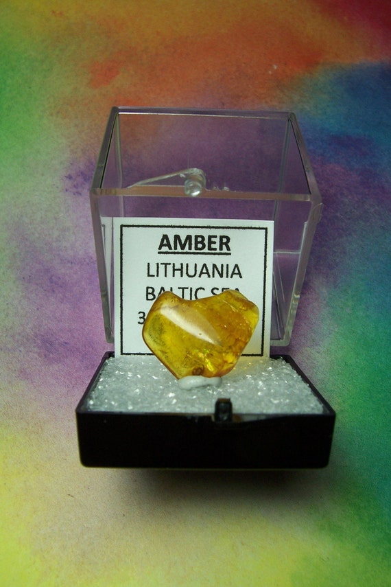 AMBER 30 40 Petrified Tree Sap With Insect In Perky Box From