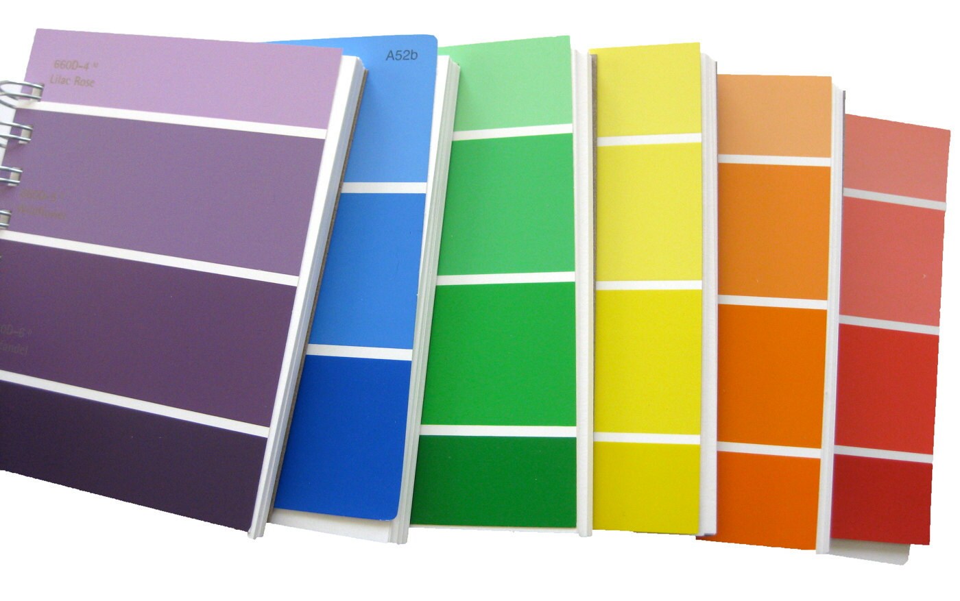 Choose Your Color Paint Sample Notebook