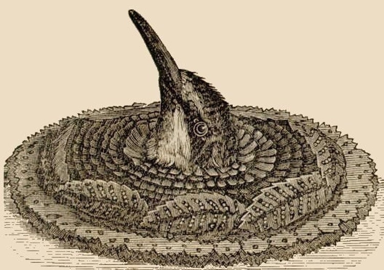 Victorian Penwiper Pen Wiper Patterns From Godeys by prunie8