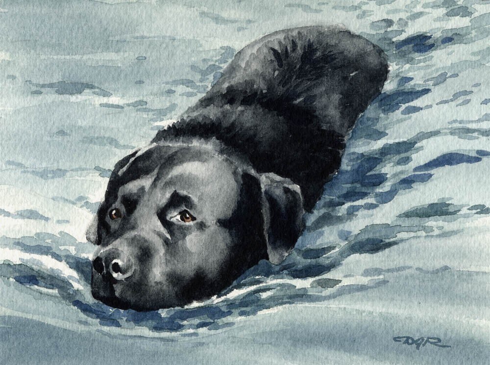 BLACK LAB Original Watercolor Painting by Artist DJ Rogers