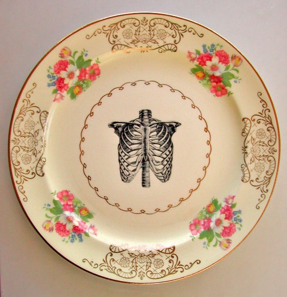 ANATOMY RIBCAGE Altered Vintage Plate Home Decor
