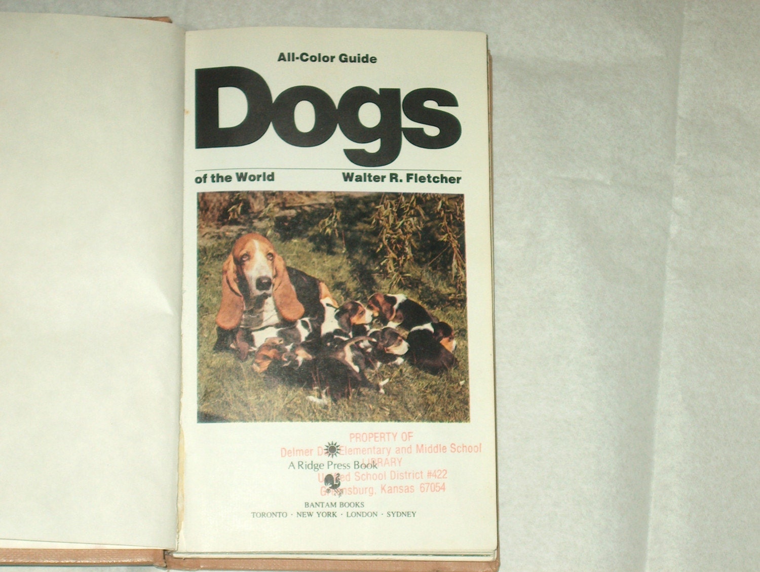 Vintage Book DOGS of the World by junesshop on Etsy