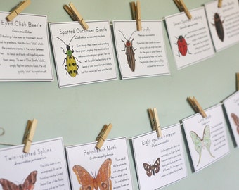 Items similar to DIGITAL Printable PDF PATTERN Montessori Sensorial ...