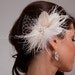 Ivory Feather Birdcage Fascinator with Champagne Peacock Eye