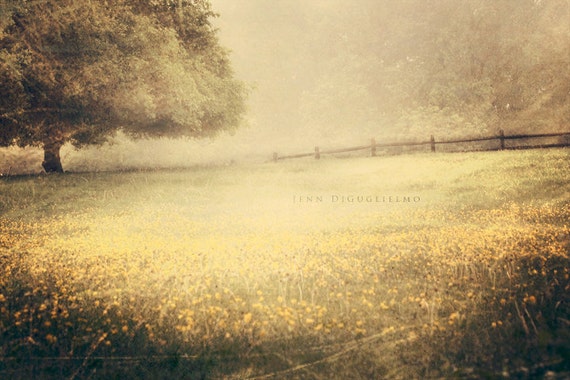 Items similar to Yesterday's Fog - Fine art photograph - farm pasture ...