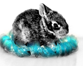 my bucket of frogs by AmyWilburn on Etsy