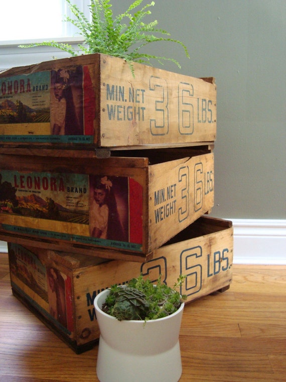 vintage fruit box with gorgeous labeling.