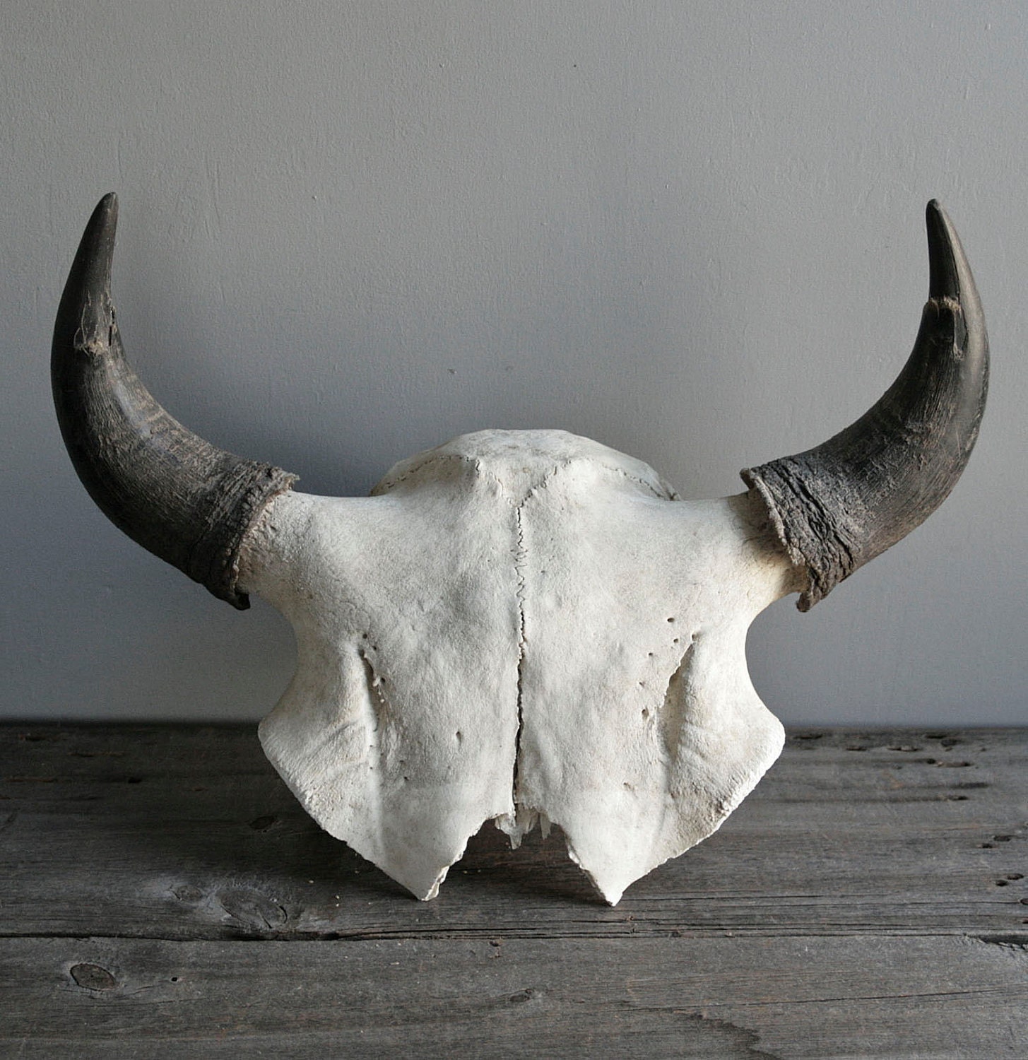 huge vintage buffalo skull by ohalbatross on Etsy