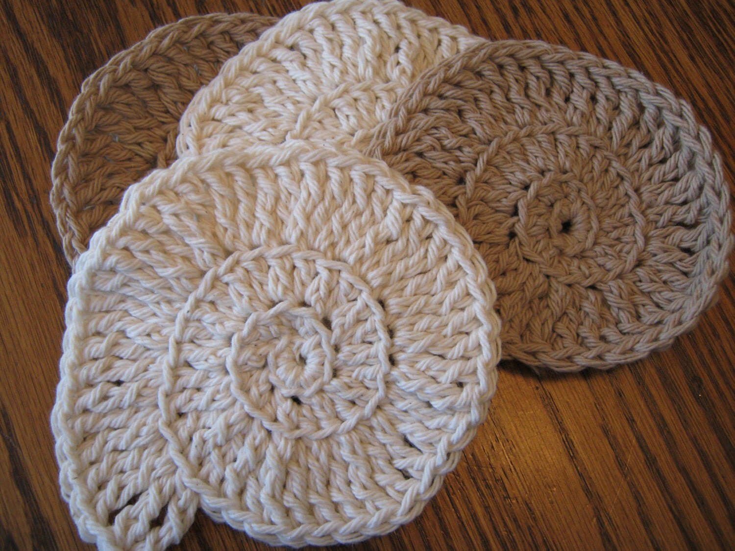 Sea Shell Coasters