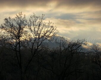 Rachel Edgington Photography by RaeoLight on Etsy