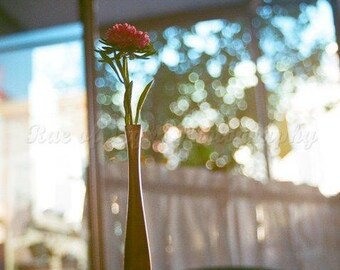 Rachel Edgington Photography by RaeoLight on Etsy