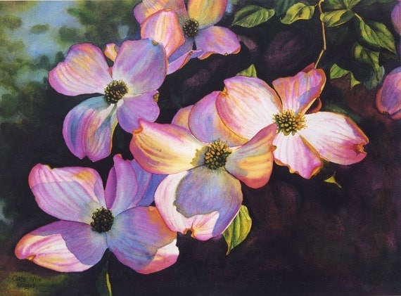 Pink Dogwoods Art Watercolor Painting Print by Cathy Hillegas