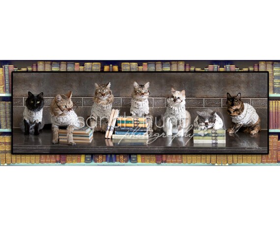 Items similar to Cat Librarians - Fine Art Print on Etsy