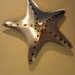 Bat Starfish Star Fish Steel Wall Art Metal Sea Ocean Beach