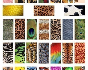 Popular items for animal skin pattern on Etsy