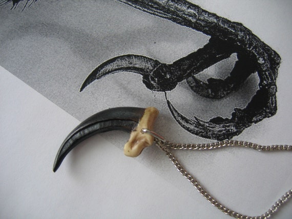 Raven Talon Pendant Necklace Corvid Corvidae 2050