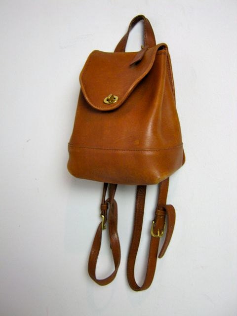 Brown Designer Backpack Purse | semashow.com