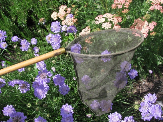 Antique Butterfly Net