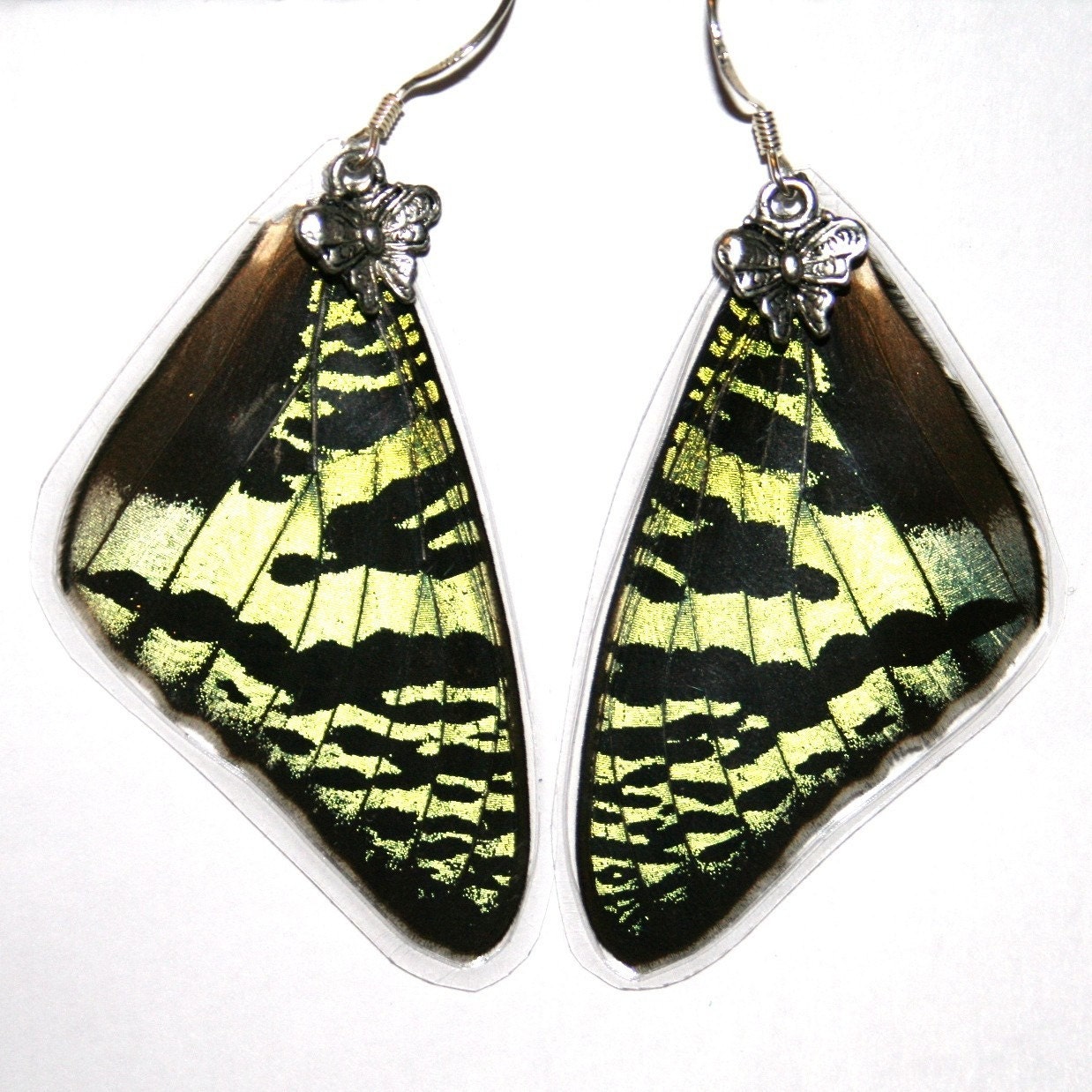 REAL butterfly wing earrings Sterling silver NO REAL butterfly wing earrings Sterling silver NO