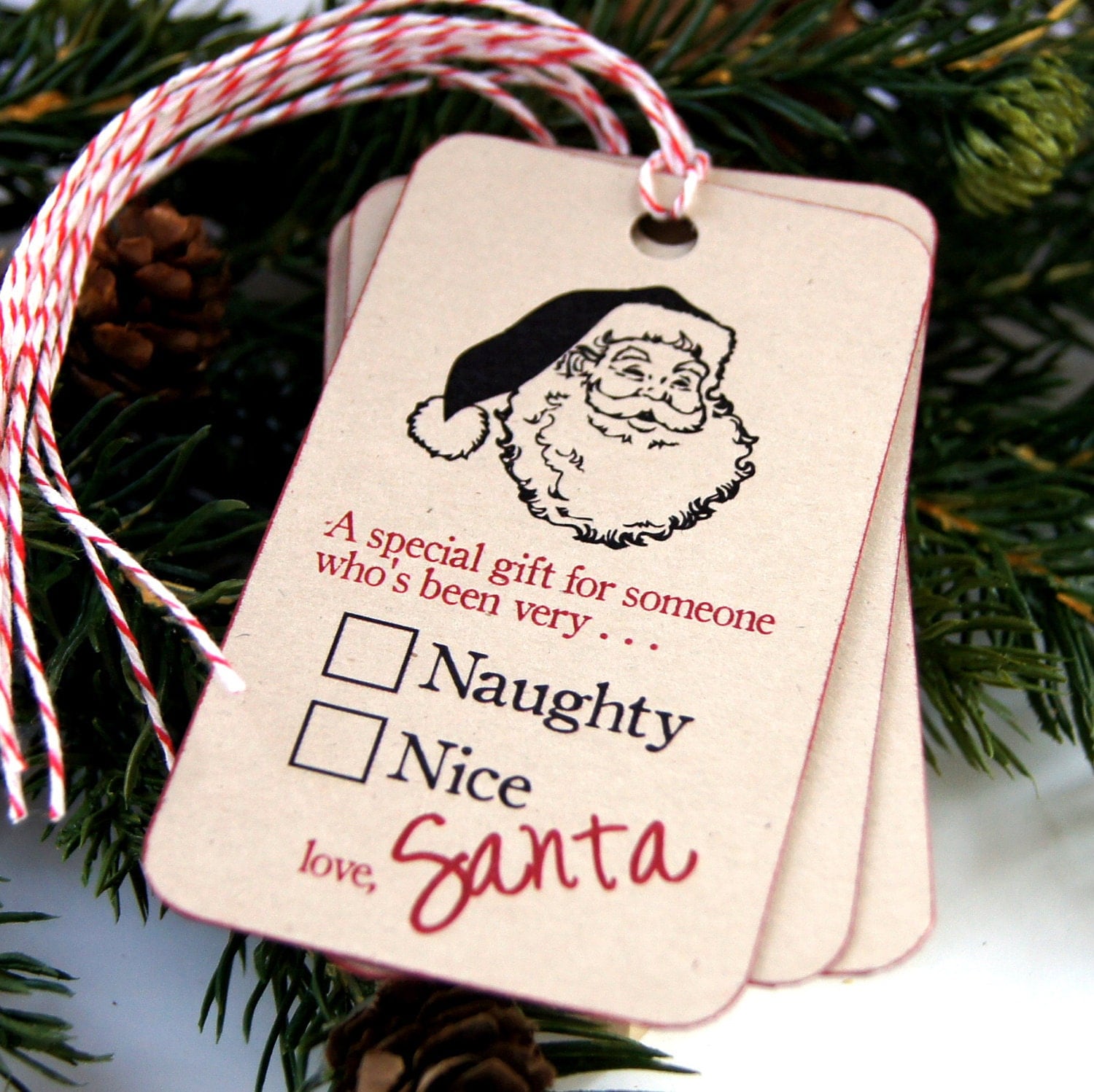 Naughty or Nice love Santa Christmas Tags or Package Labels