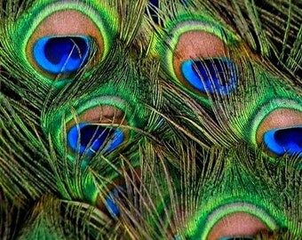 Lime green feathers | Etsy